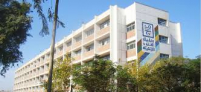 faculty of fine arts minia university